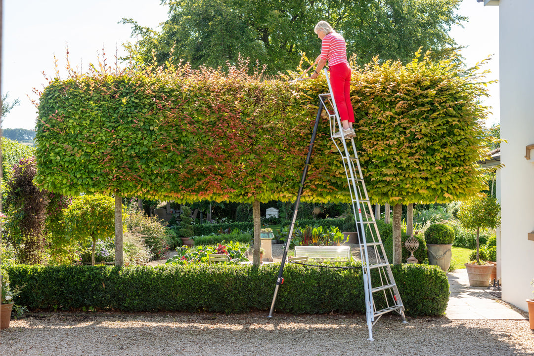 2025 Edition Fully Adjustable Tripod Ladder – The Ladder Company
