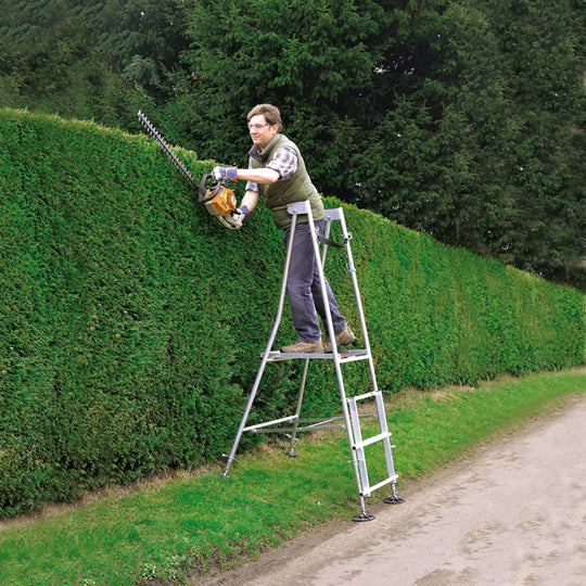 Browse Our Hi-Step Ladder Collection | The Ladder Company